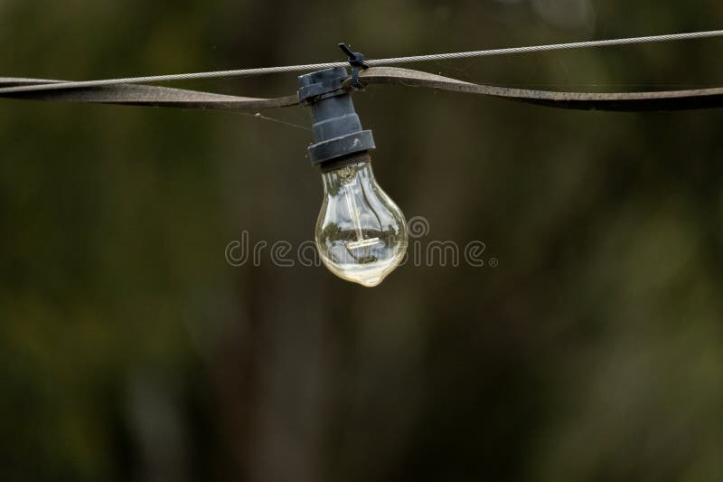 Hanging in Thought – a Forgotten Bulb Against Nature S Backdrop Stock ...