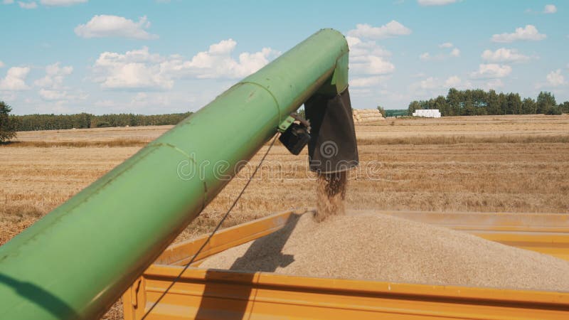 Unloading of Combine Harvester into a Tractor Trailer - Transportation ...