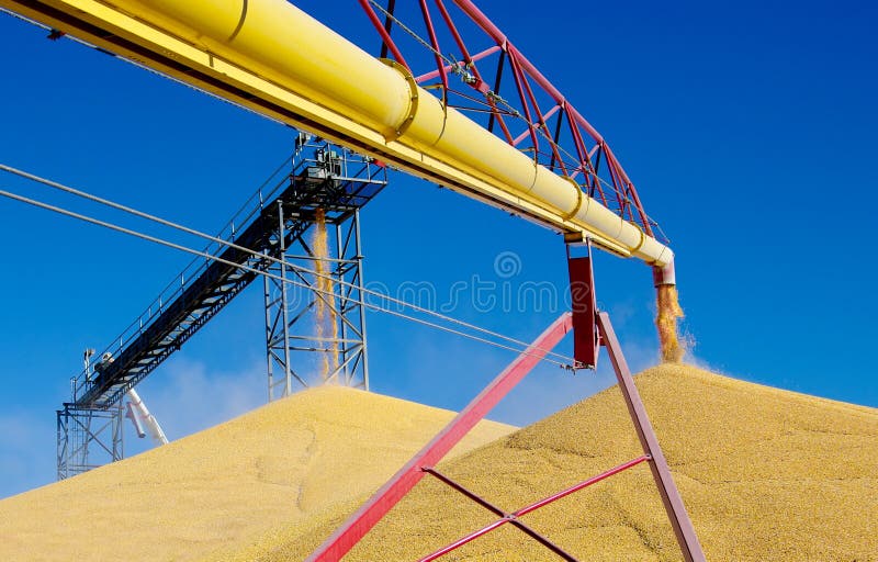 Unloading Corn stock photo. Image of country, agriculture - 26881840