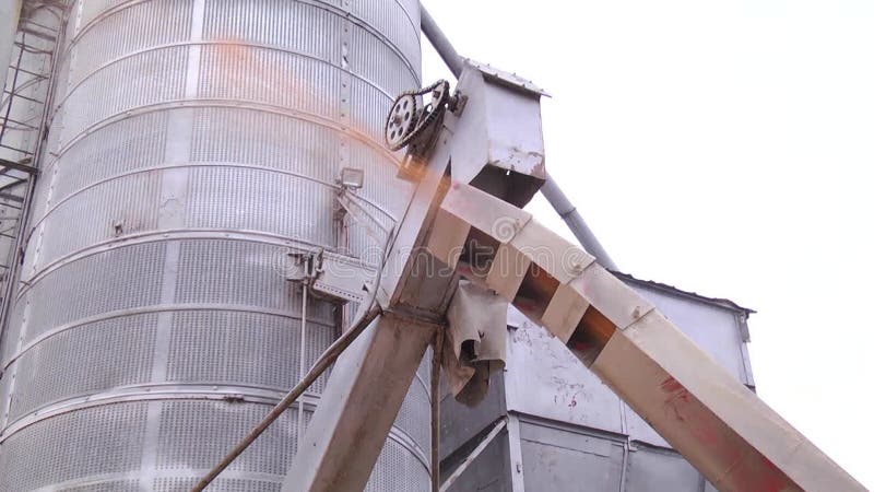 Unloading Corn from the Machine at the Elevator Stock Footage - Video ...