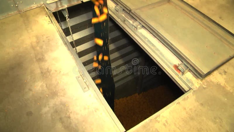 Unloading Corn from the Machine at the Elevator Stock Video - Video of ...