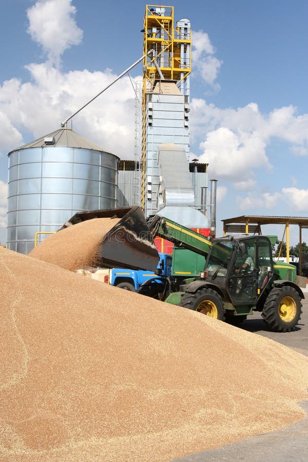 Unloading grain editorial stock photo. Image of factory - 6922998