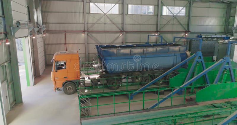 Unloading Grain from a Truck for Storage, Wheat Unloading Aerial View ...