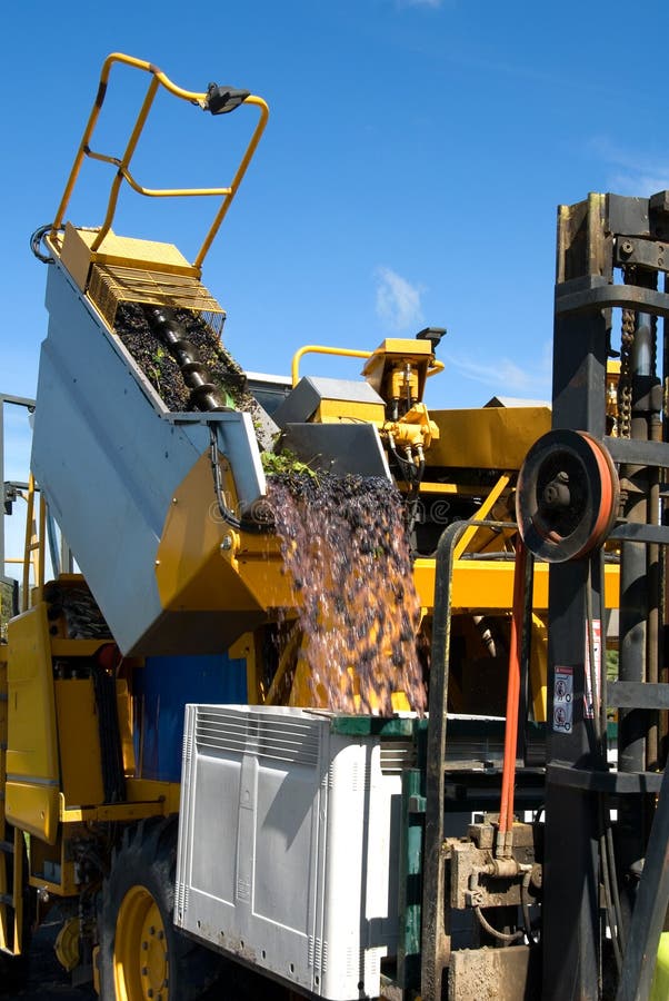 Grape Auger stock image. Image of business, drink, commercial - 2033487