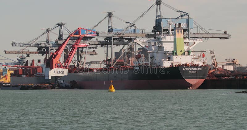 Unloading a huge coal ship stock footage. Video of port - 171530102