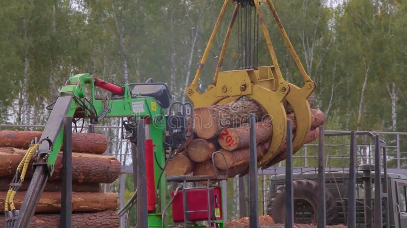 Unloading a Log Truck with a Crane, Unloading Logs at a Sawmill ...