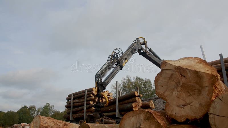 Unloading a Log Truck with a Crane, Stock Footage - Video of modern ...