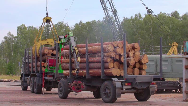 Unloading a Log Truck with a Crane, Unloading Logs at a Sawmill ...