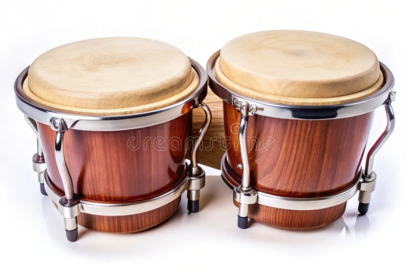 Unlocking Rhythmic Possibilities: Understanding the Intriguing Bongos ...