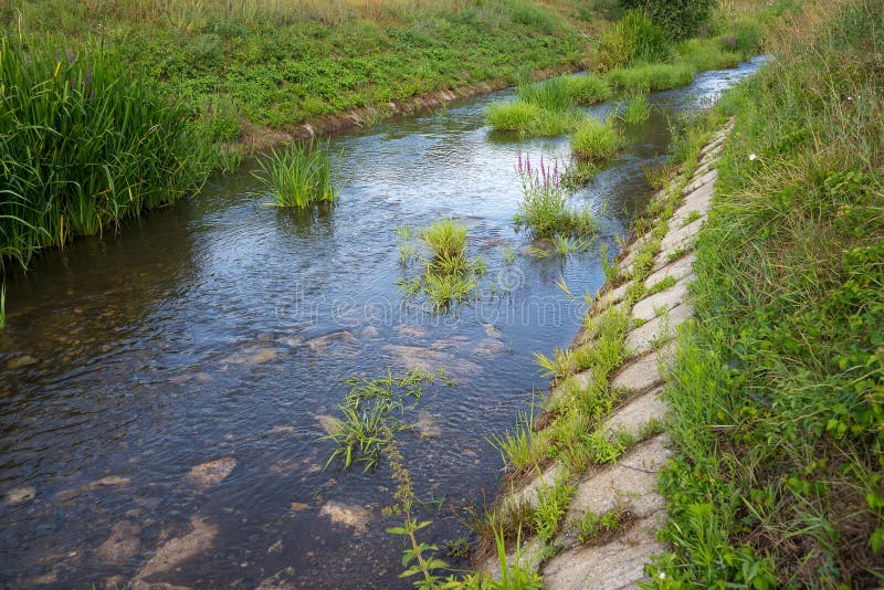 Unmaintained Irrigation Channel with Vegetation in the Summer Stock ...