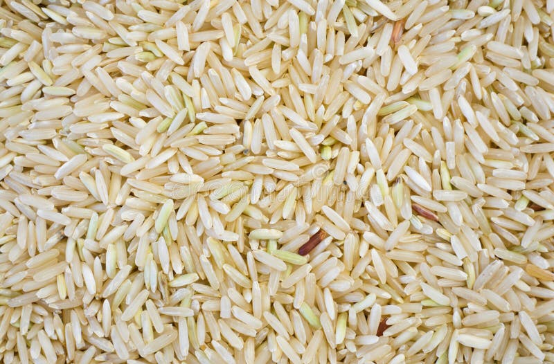 Unmilled rice background stock image. Image of closeup - 30360127