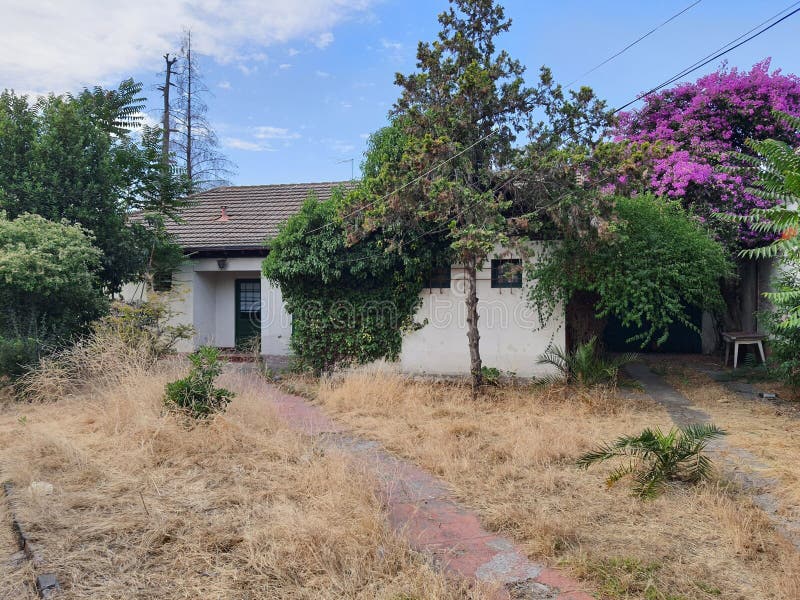 Unoccupied House with a Bougainvillea Stock Image - Image of tree ...