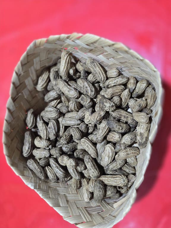 Unopened Peanuts in a Container Stock Image - Image of produce ...
