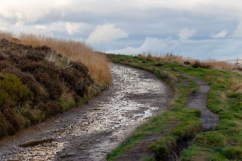 Unpaved Muddy Path with Fallen Leaves between Dry Fields Stock Image ...