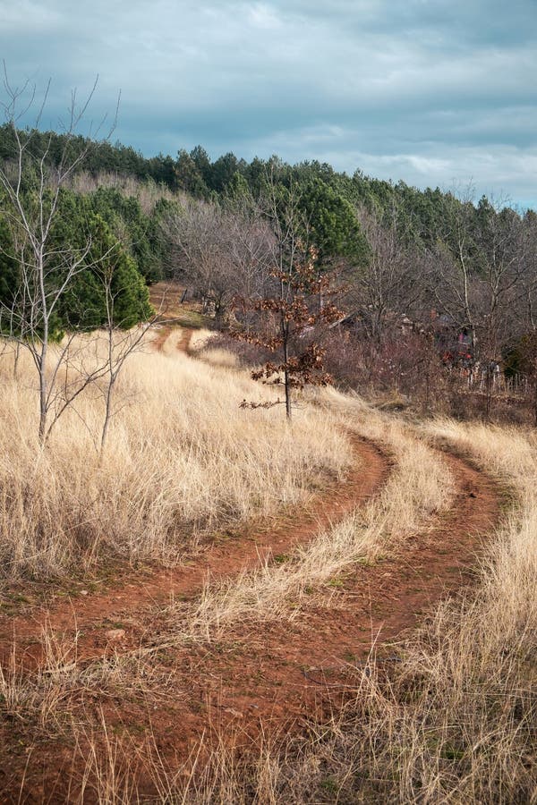 Unpaved Road in the Wilderness Landscape Stock Image - Image of land, landscape: 360462479