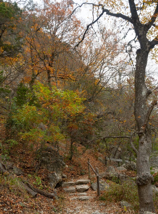 Unpaved Walking Trail through a Deciduous Forest with Maple Trees in ...