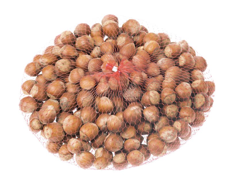 Unpeeled Hazelnuts Isolated on a White Background. Hazelnuts in Shell ...