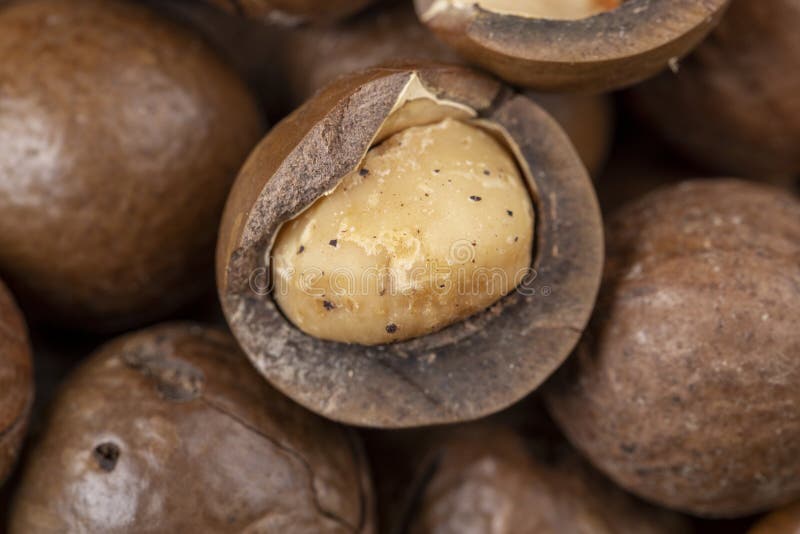 Unpeeled Macadamia Nuts on the Table Stock Photo - Image of macadamia ...