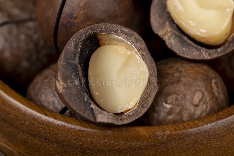 Unpeeled Macadamia Nuts on the Table Stock Image - Image of natural ...