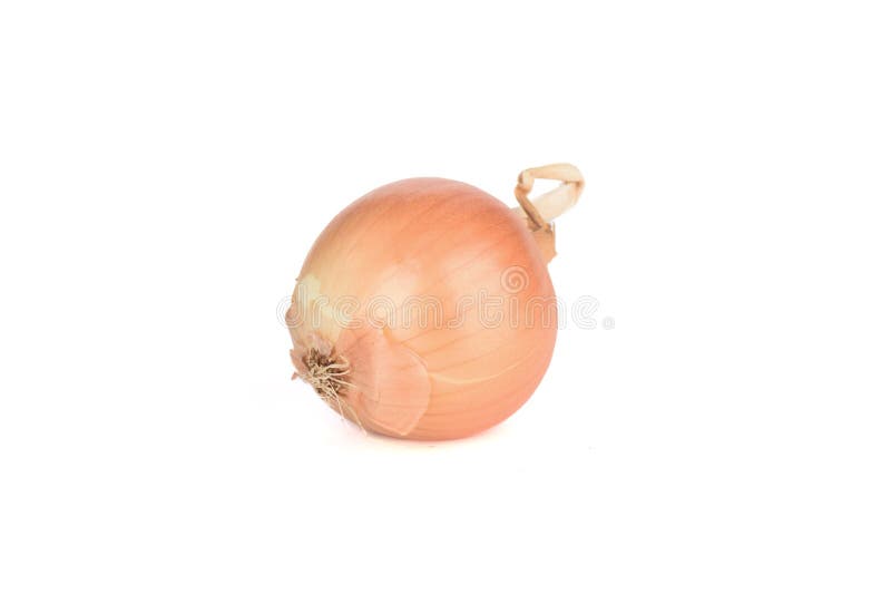 Unpeeled Onion Bulb on White Background. Stock Image - Image of brown ...