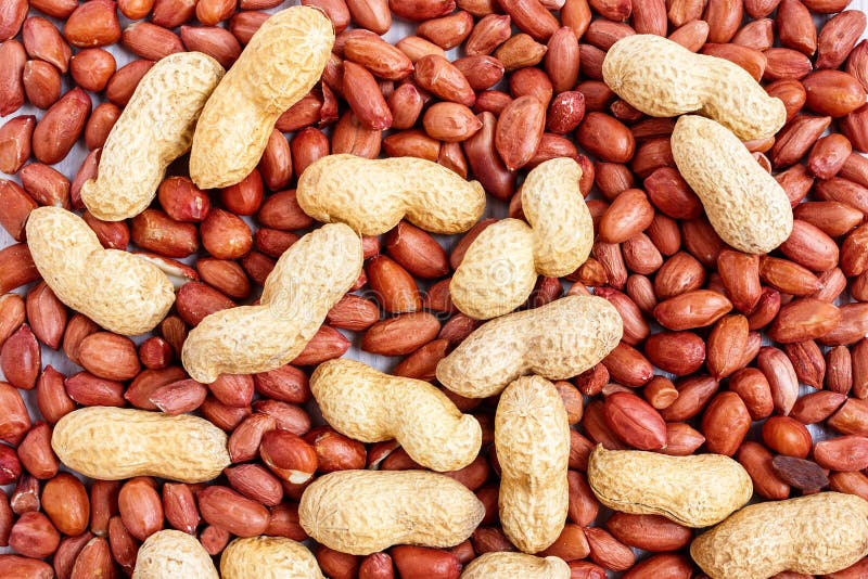 Peeled Raw Peanuts Food Background Stock Image - Image of peeled ...
