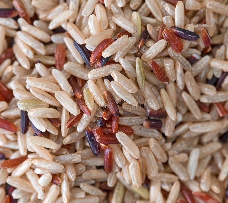 Unpolished Rice Close Up Texture. Stock Photo - Image of agriculture ...