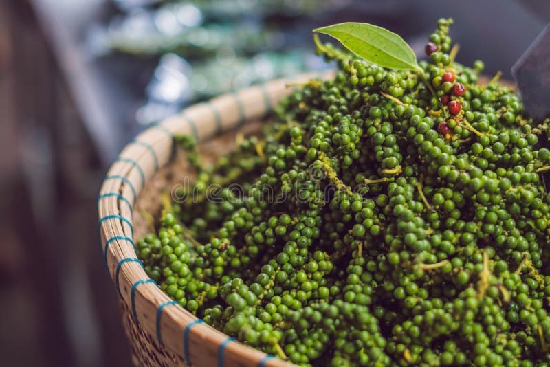 Unprocessed Fresh Green Peppercorns in the Basket Stock Photo - Image ...