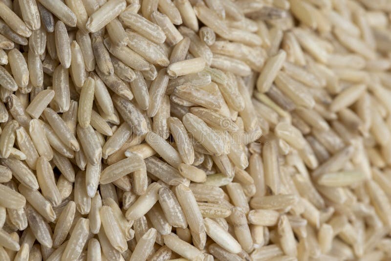 Unprocessed Healthy Dark Rice, Close Up Stock Photo - Image of brown ...