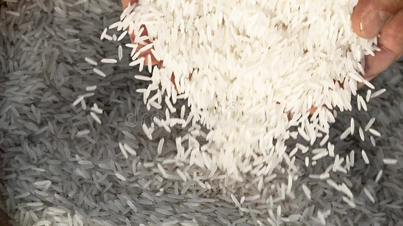 Irochka - Photographer profile