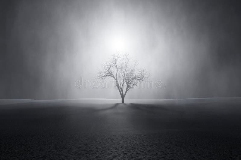 Unreal Image of Alone Leafless Tree in the Middle of a Field, Black and ...