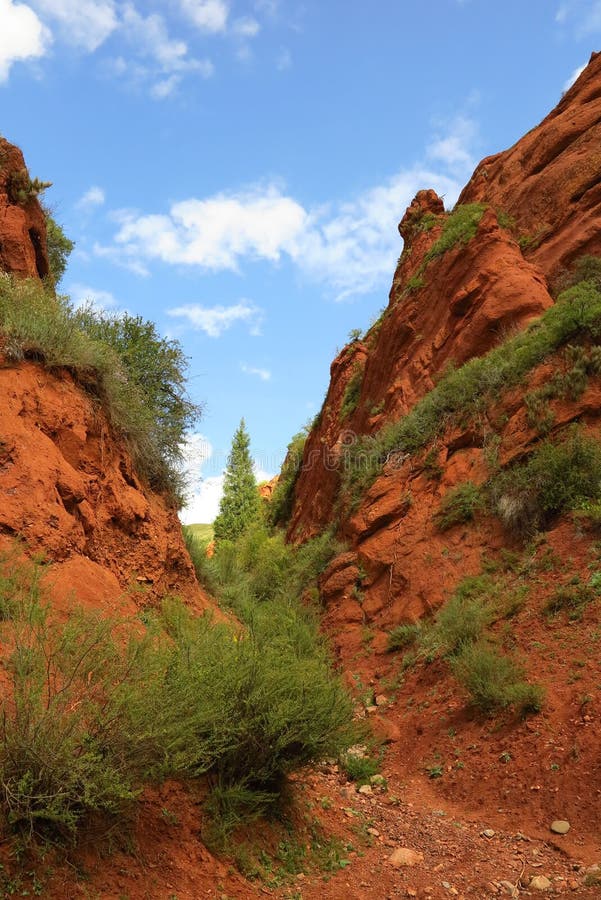 It is Unrealistic Colorful Rocks in the Mountains Stock Image - Image ...