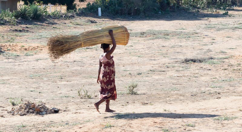 Unrecognisable Woman Walking with a Bundle of Reed Editorial ...