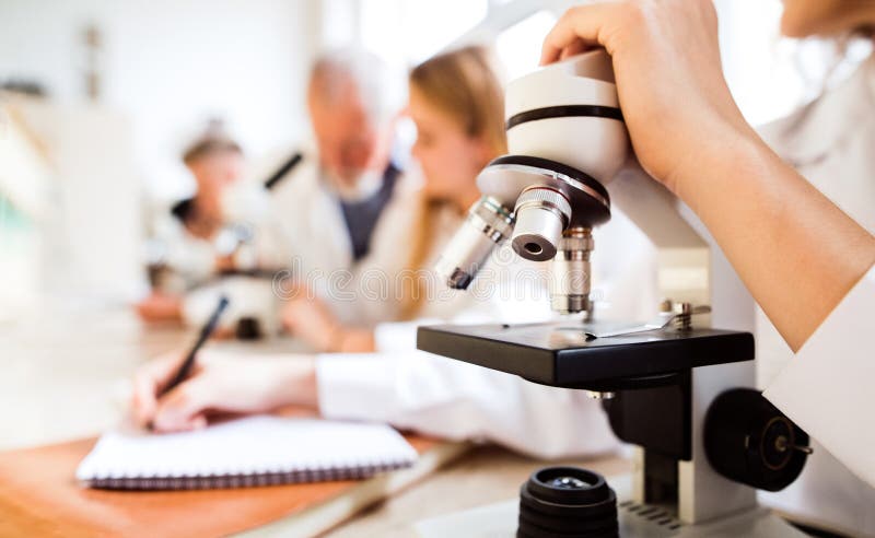 Unrecognizable High School Student with Microscope in Laboratory Stock ...