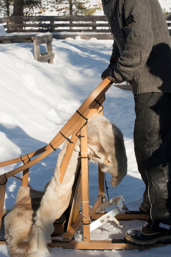 Unrecognizable Man Guiding a Sleigh Dog Ride Stock Photo - Image of ...