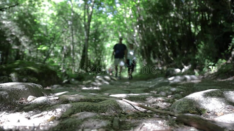 Unrecognizable Tourist Couple Walking Towards the Camera in the Forest ...