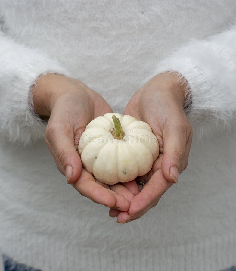 Unrecognizable Woman Holding Single White Decorative Dwarf Pumpkin in ...