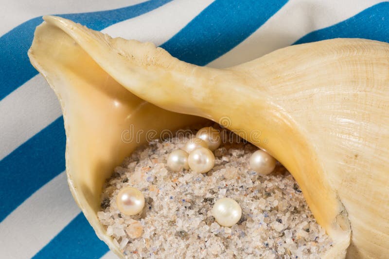 Unrefined Natural Sea Salt, Pearl and Shell Stock Image - Image of ...