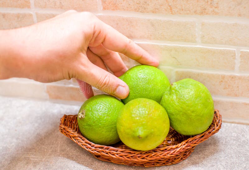 Unripe lemons hand stock image. Image of table, kitchen - 58964949