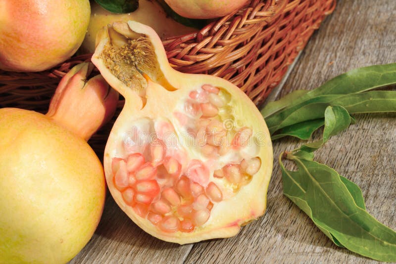 Unripe pomegranates stock photo. Image of pomegranate - 33497610