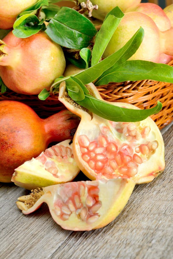 Unripe pomegranates stock photo. Image of pomegranate - 33497610