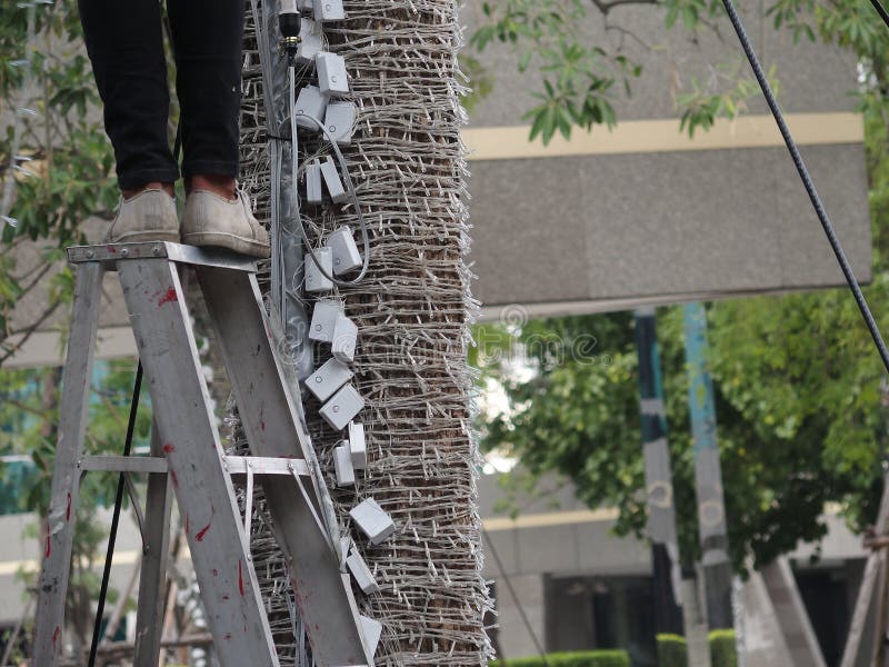 Unsafe Ladder Pictures