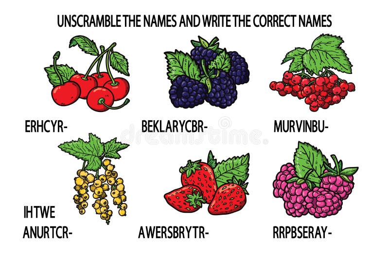 Unscramble Names Berries Game. Stock Vector - Illustration of game ...