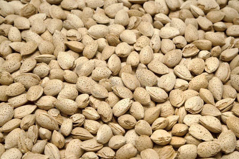 Unshelled Almonds (almond with Shell) Stock Photo - Image of health ...