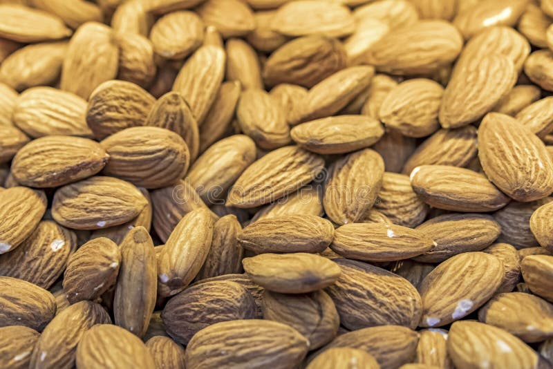 Unshelled Almond Stock Photos - Download 473 Royalty Free Photos