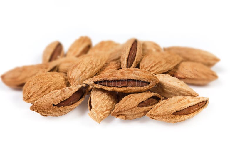 379 Almonds Husk Stock Photos - Free & Royalty-Free Stock Photos from ...