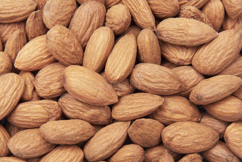 Unshelled Almond Stock Photos - Download 473 Royalty Free Photos