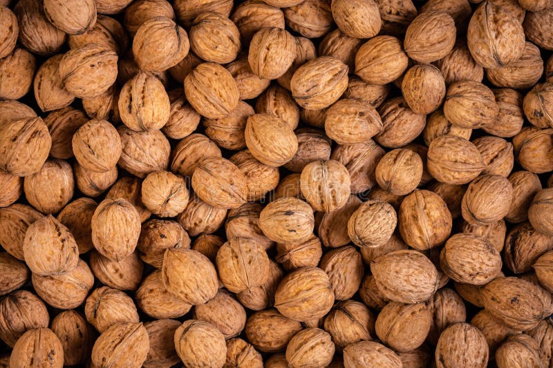 Unshelled, Dried Walnuts in Their Shells Fill the Frame Completely. Top ...