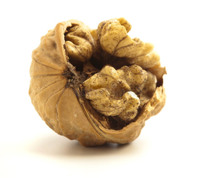 Nut 1 stock photo. Image of hard, food, caloric, calories - 265854