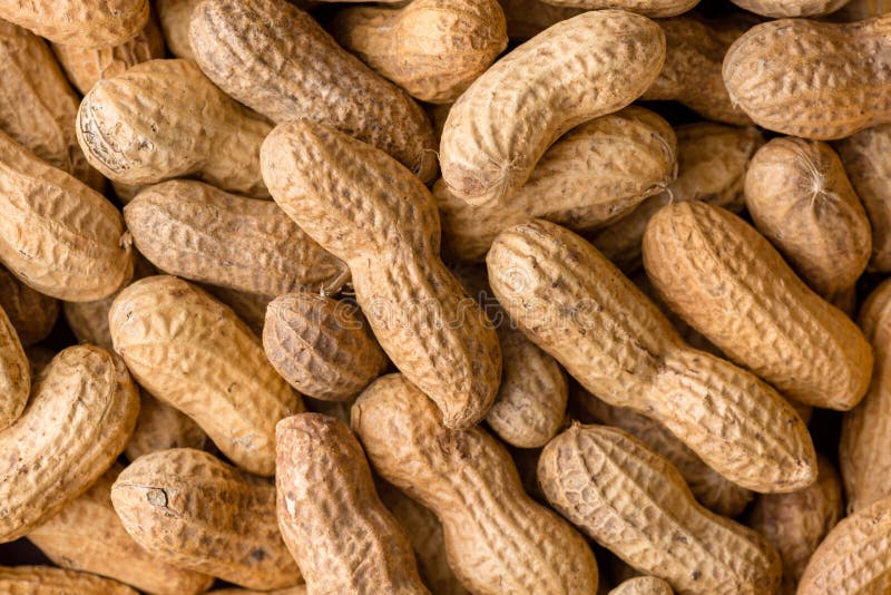 Dry Roasted Peanuts Unsalted Stock Photo - Image of ingredient, crunchy ...