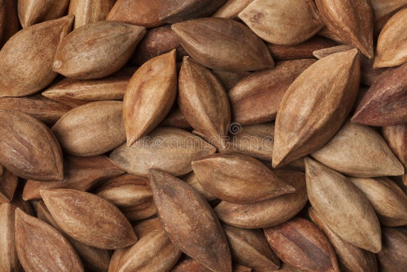 Pili Nuts Stock Photos - Free & Royalty-Free Stock Photos from Dreamstime